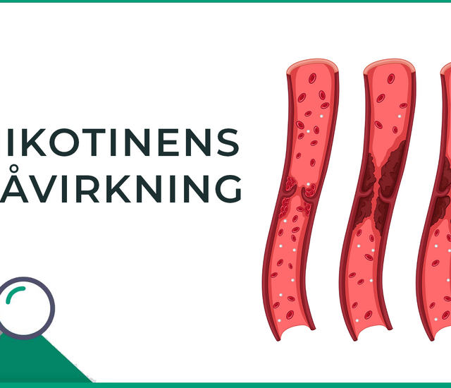 Nikotinens virkninger på kroppen – Nicosub